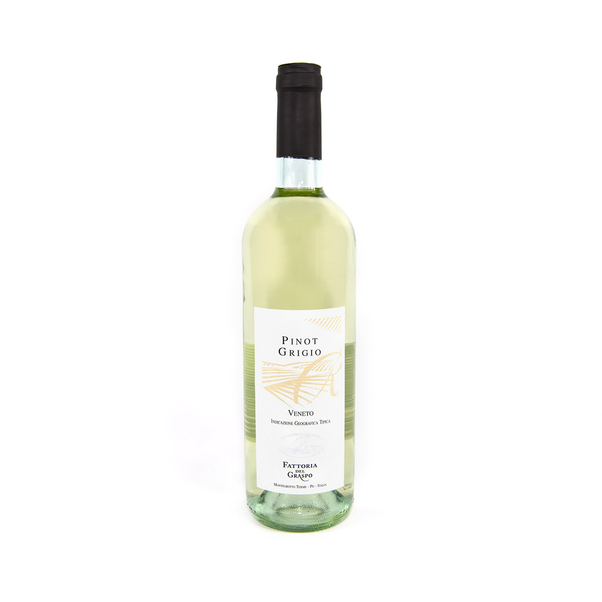 Vino Pinot Grigio Igt Veneto - Fattoria del Graspo Vino Pinot Grigio Igt Veneto - Fattoria del Graspo
